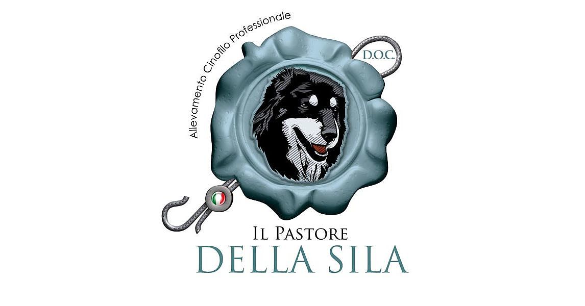 Allevamento di Pastore della Sila - Il Pastore Transumante